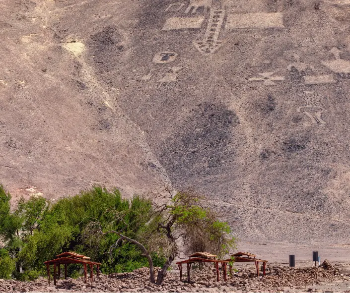 ¿Qué hacer en mi viaje por Pozo Almonte, Chile?